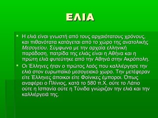 Τα δεντρα του σχολειου μας | PPT