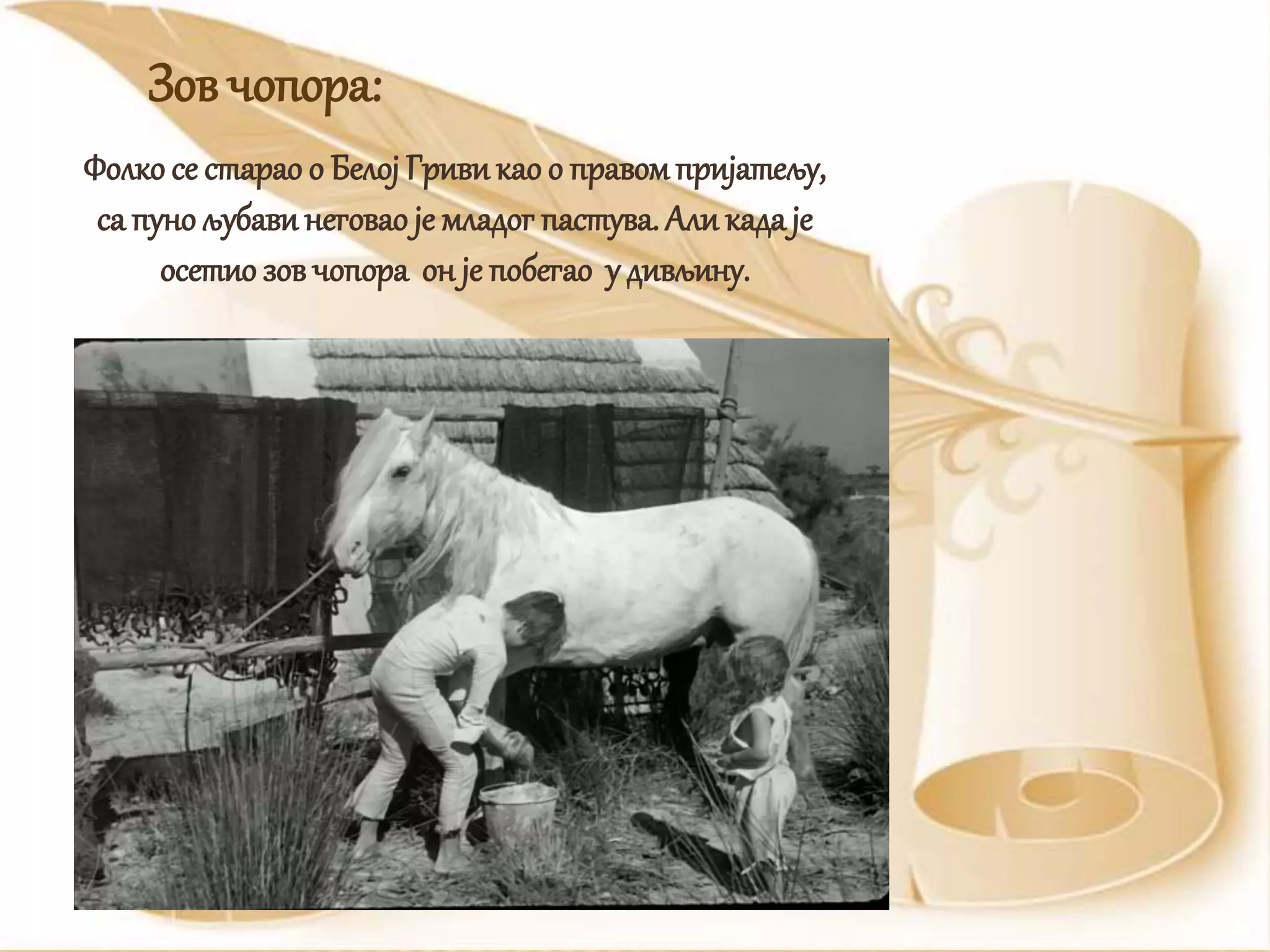 Bela Griva - Rene Gijo ( Lektira za IV razred) | PPTX