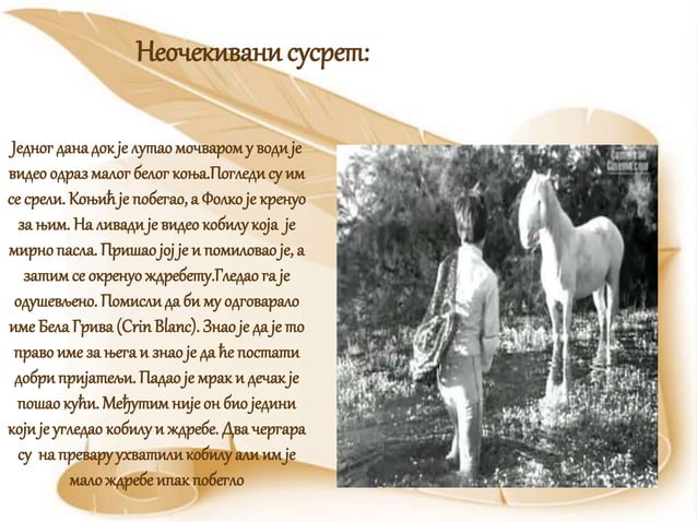 Bela Griva - Rene Gijo ( Lektira za IV razred) | PPTX