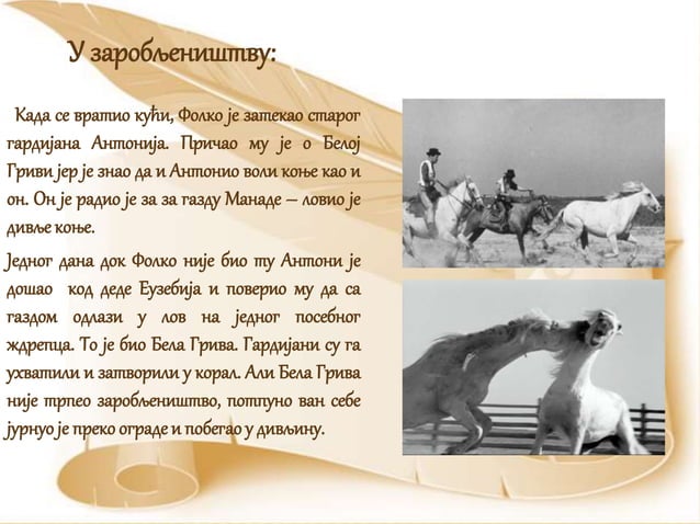 Bela Griva - Rene Gijo ( Lektira za IV razred) | PPTX