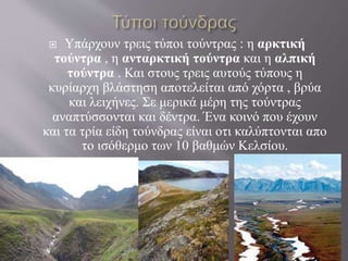 Τουντρα | PPT