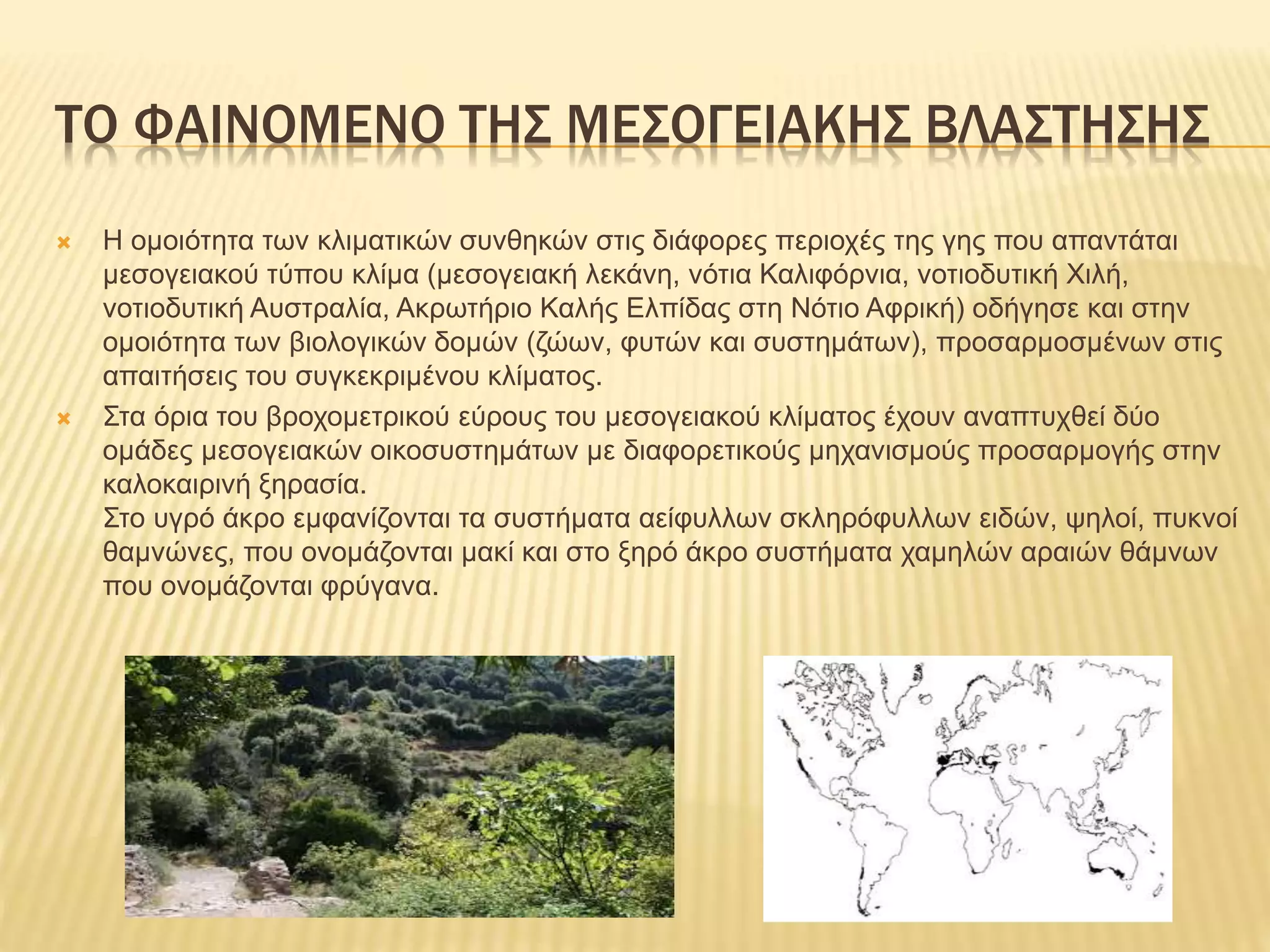 Η κατανομή της μεσογειακής βλαστησης | PPT