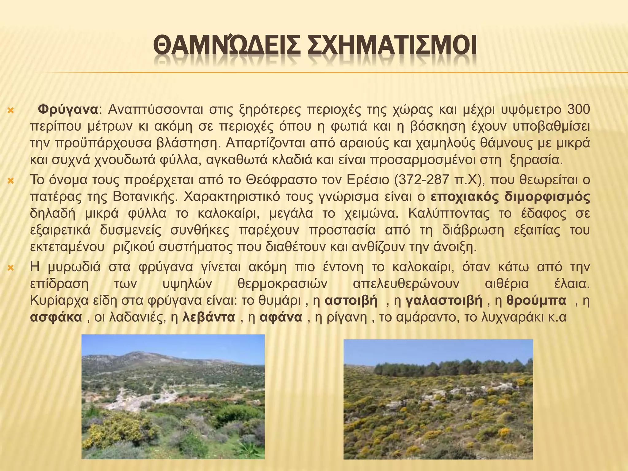 Η κατανομή της μεσογειακής βλαστησης | PPT
