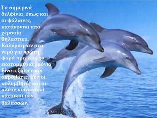 Δελφίνια | PPT