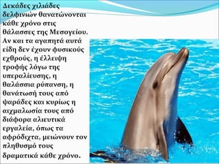Δελφίνια | PPT | Free download