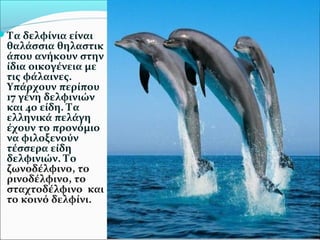 Δελφίνια | PPT