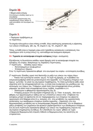 Μορφες υγρασιας | PDF