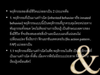 สัตว์ | PPTX