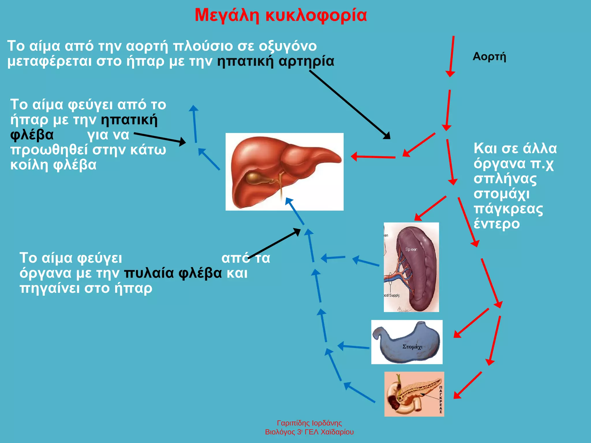 μικρή και μεγάλη κυκλοφορία | PPT