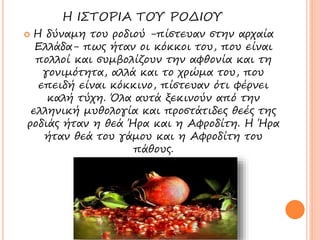Το σπάσιμο του ροδιού | PPTX