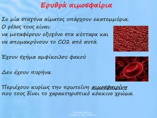 αίμα ερυθρά αιμοσφαίρια | PPSX