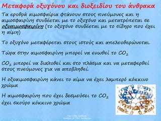 αίμα ερυθρά αιμοσφαίρια | PPSX