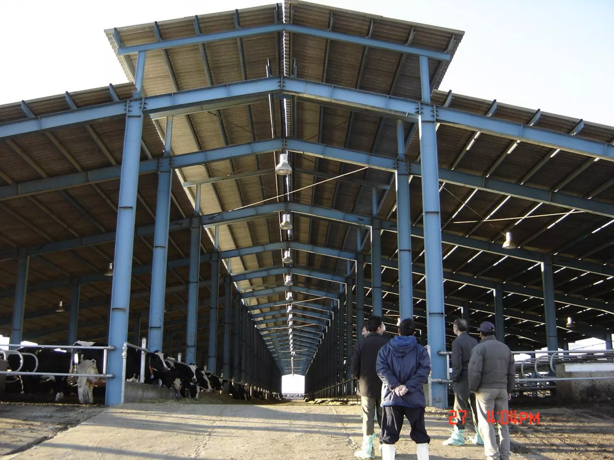 Livestock buildings and facilities design | PPT