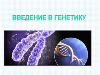 введение в генетику | PPT