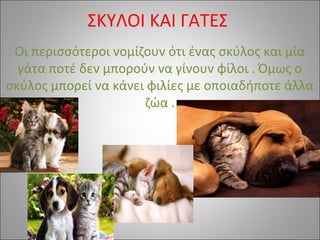 ΠΑΡΟΥΣΙΑΣΗ ΓΙΑ ΤΑ ΣΚΥΛΙΑ ΚΑΙ ΤΙΣ ΡΑΤΣΕΣ ΤΟΥΣ | PPT