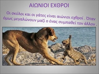 ΠΑΡΟΥΣΙΑΣΗ ΓΙΑ ΤΑ ΣΚΥΛΙΑ ΚΑΙ ΤΙΣ ΡΑΤΣΕΣ ΤΟΥΣ | PPT
