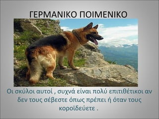 ΠΑΡΟΥΣΙΑΣΗ ΓΙΑ ΤΑ ΣΚΥΛΙΑ ΚΑΙ ΤΙΣ ΡΑΤΣΕΣ ΤΟΥΣ | PPT