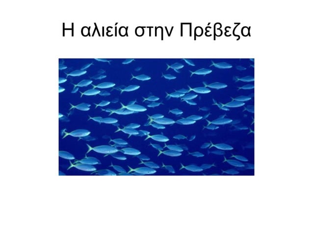 τα ψαρια της πρεβεζας | PPT