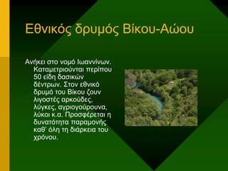 εθνικοί δρυμοί Ελλάδος νίκη καρκατσέλη & χρήστος δημητρίου. | PPT