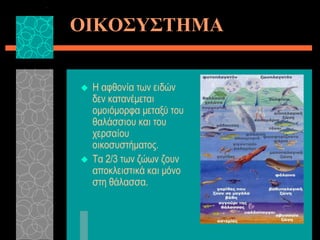 Εργασία οργάνωσης έμβιων όντων, Οικοσύστημα | PPTX