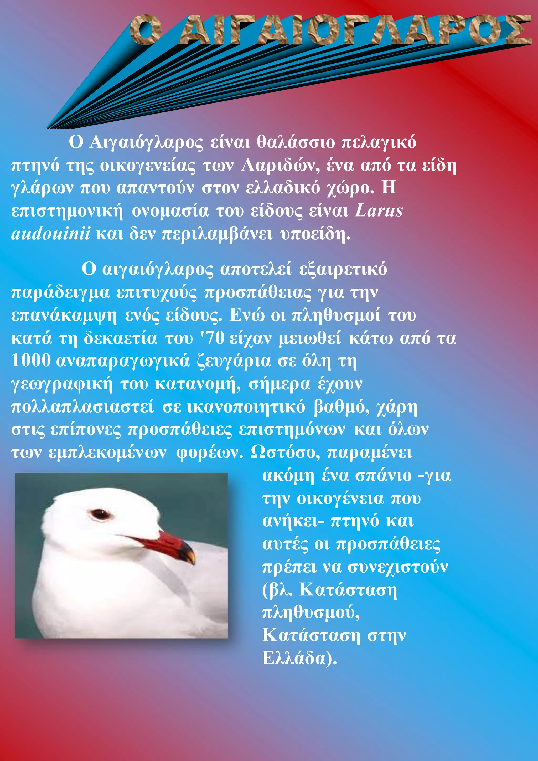 Ο αιγαιόγλαρος είναι θαλάσσιο πελαγικό πτηνό της οικογενείας των ...