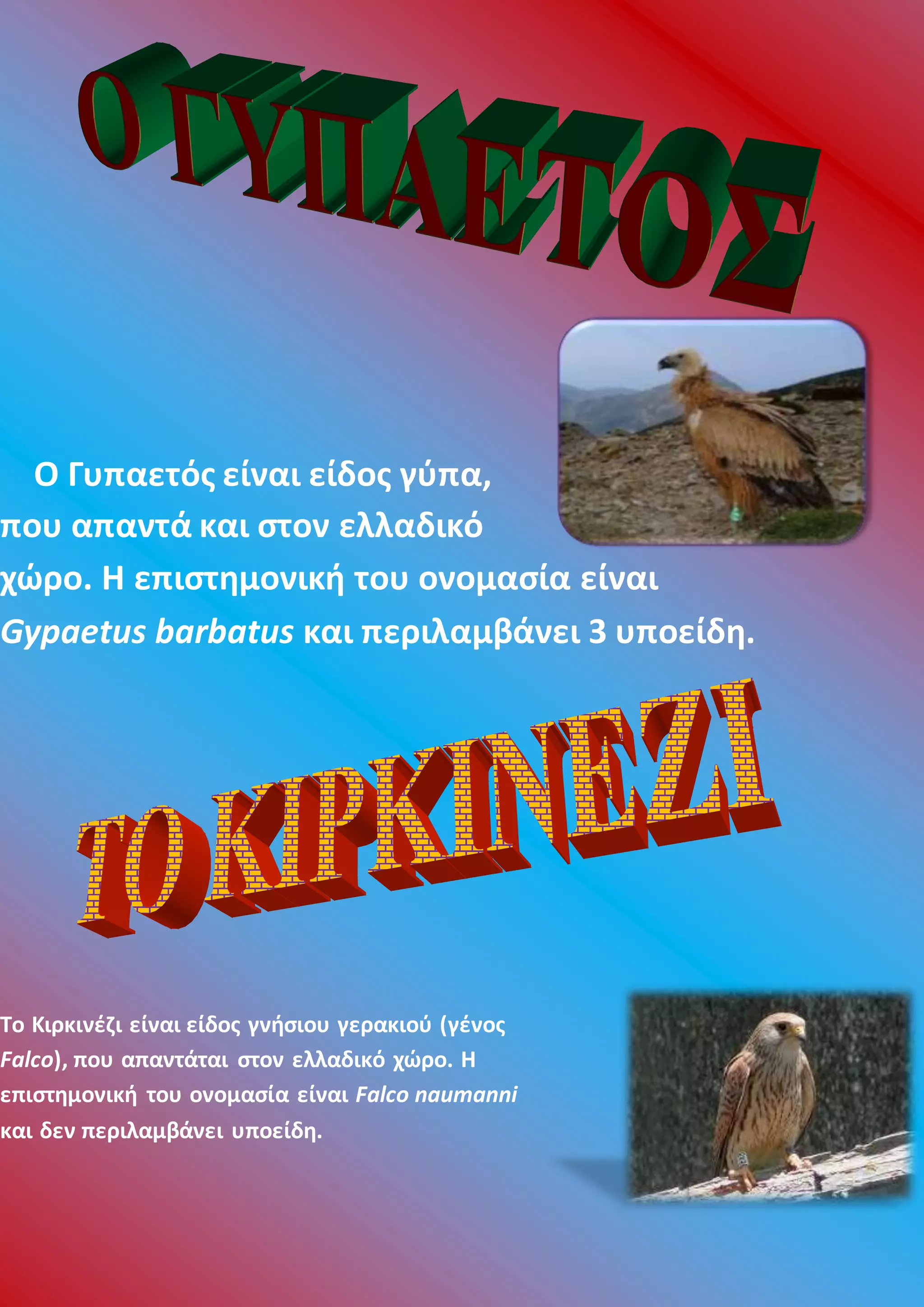 Ο αιγαιόγλαρος είναι θαλάσσιο πελαγικό πτηνό της οικογενείας των ...