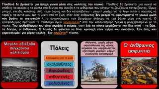 Ινδιάνος Σιάτλ, Ένα παλιό μήνυμα για το σύγχρονο κόσμο. | PDF