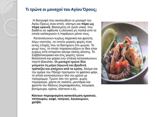 διατροφη στο αγιο ορος | PPTX