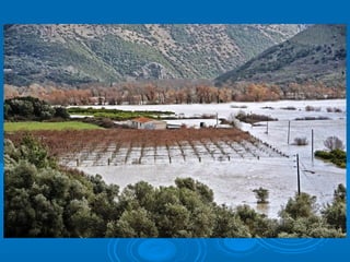 συνεντευξη τυπου | PPT