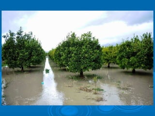 συνεντευξη τυπου | PPT