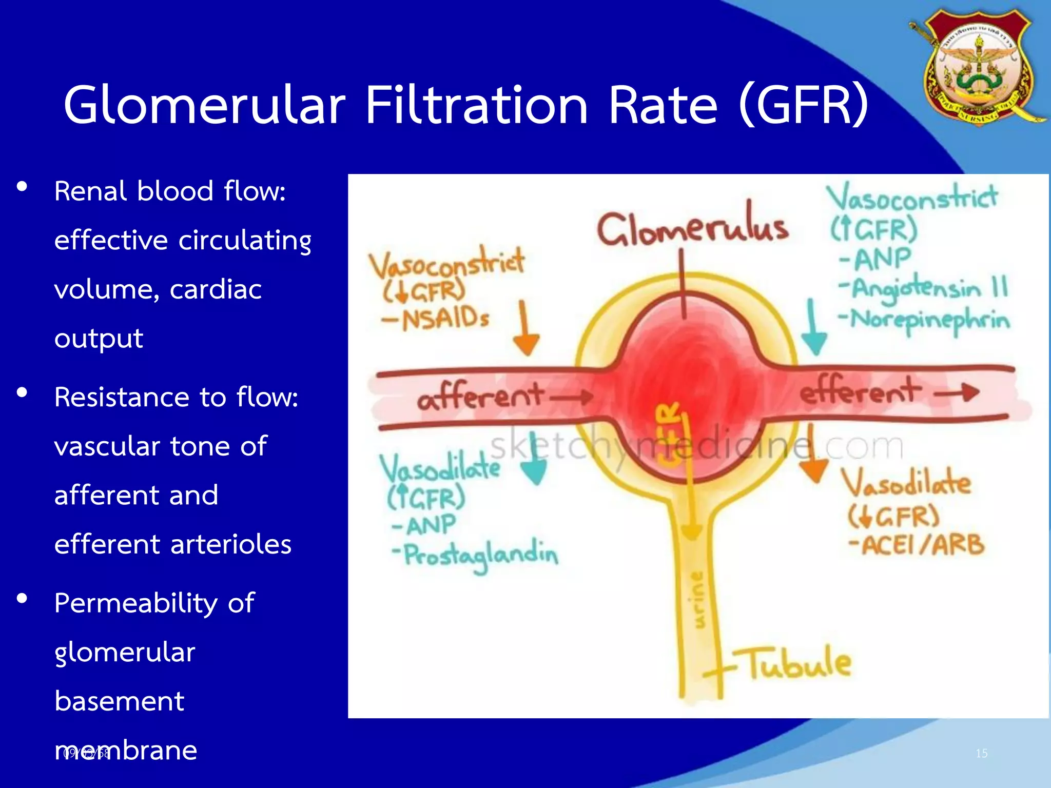 PATHOPHYSIOLOGY OF URINARY SYSTEM FOR STUDENT NURSES | PDF