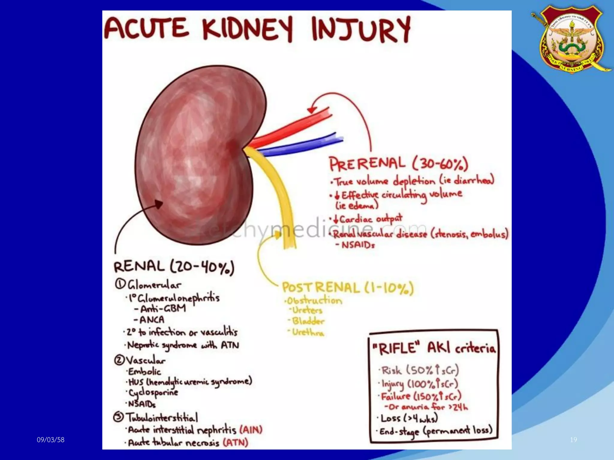 PATHOPHYSIOLOGY OF URINARY SYSTEM FOR STUDENT NURSES | PDF