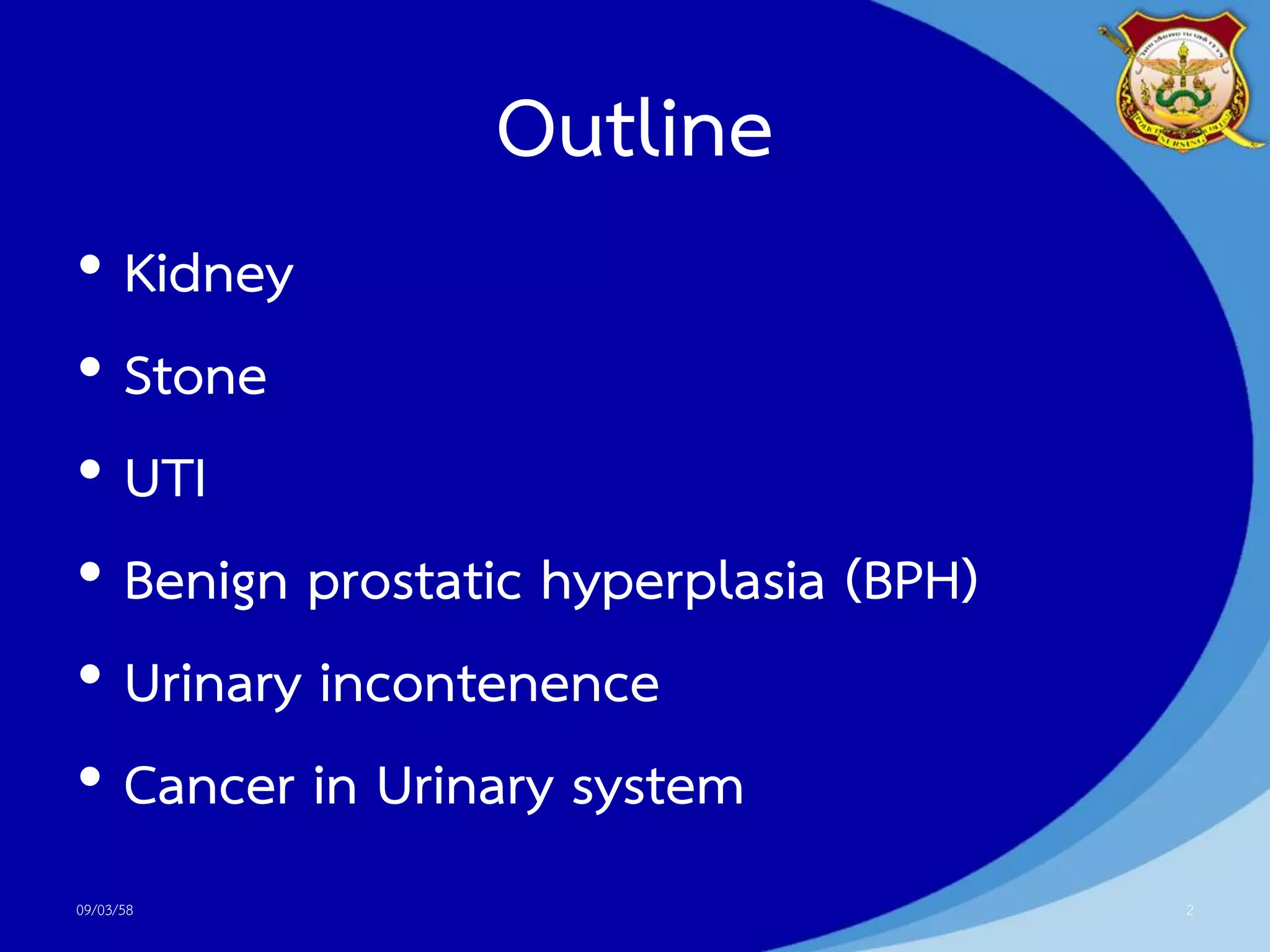 PATHOPHYSIOLOGY OF URINARY SYSTEM FOR STUDENT NURSES | PDF