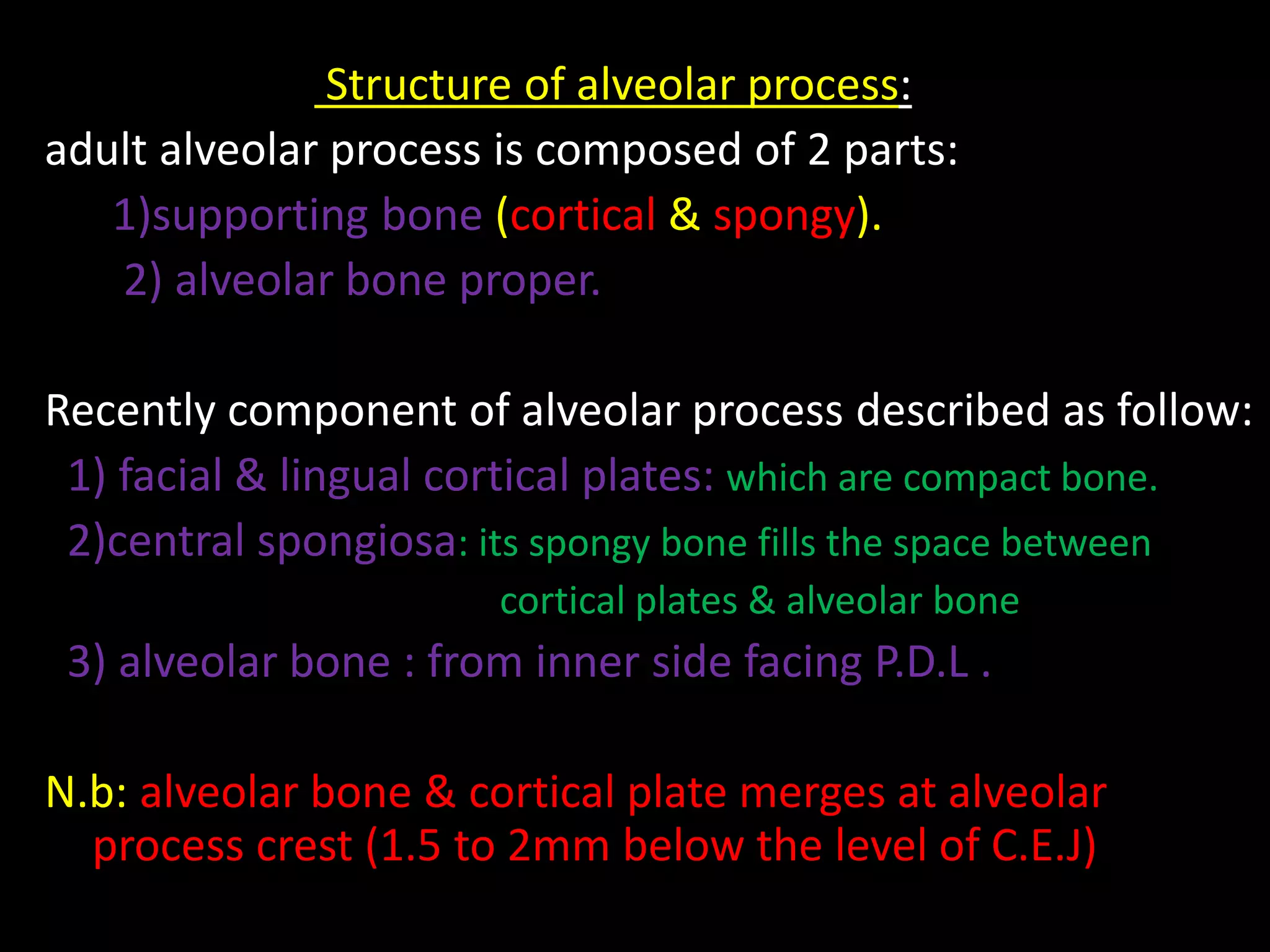Alveolar process by dr 3mmar | PPTX