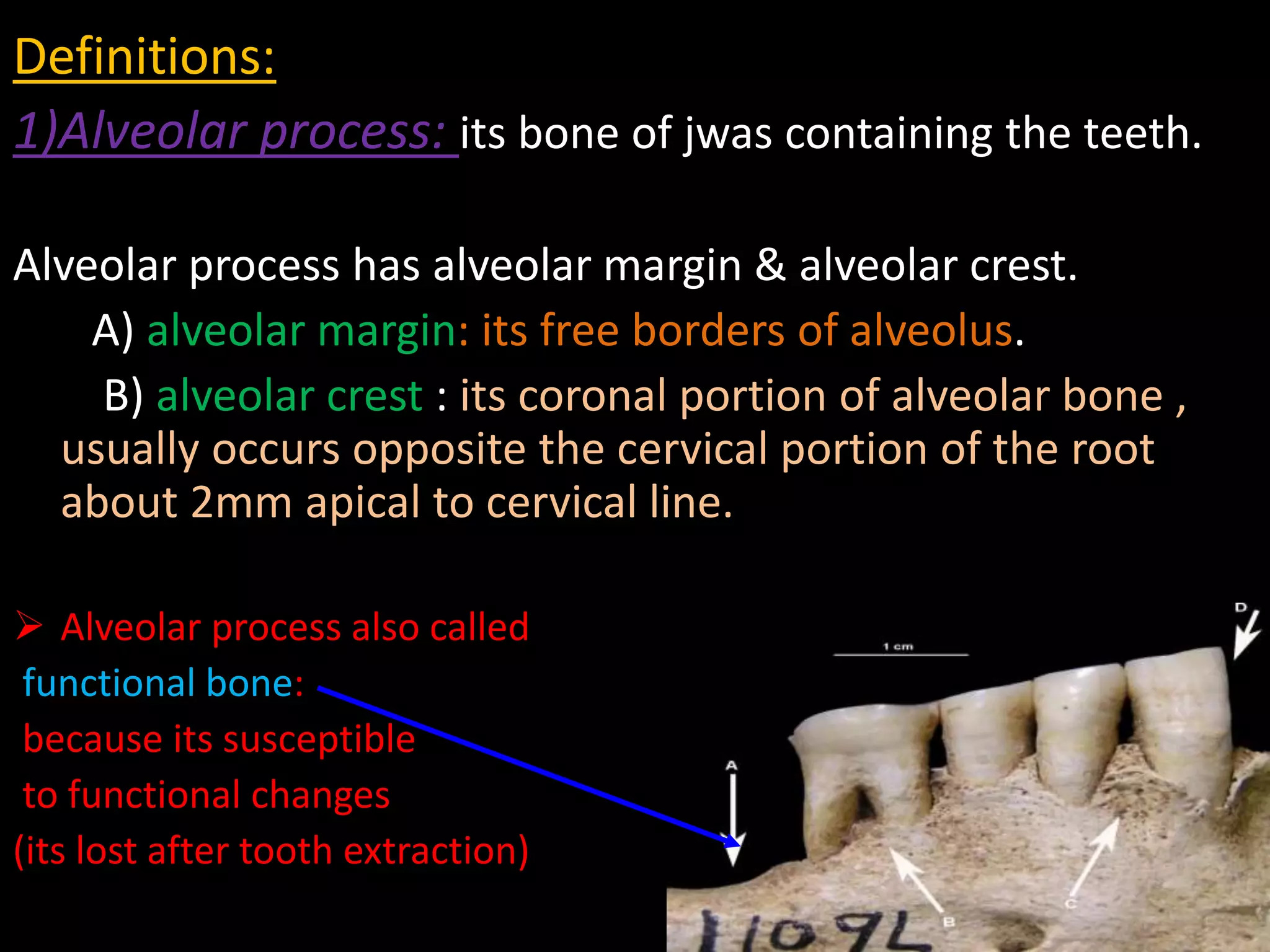 Alveolar process by dr 3mmar | PPTX