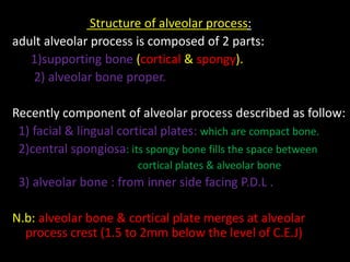 Alveolar process by dr 3mmar | PPTX