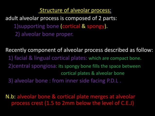 Alveolar process by dr 3mmar | PPTX