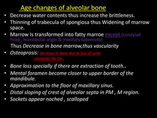 Alveolar process by dr 3mmar | PPTX