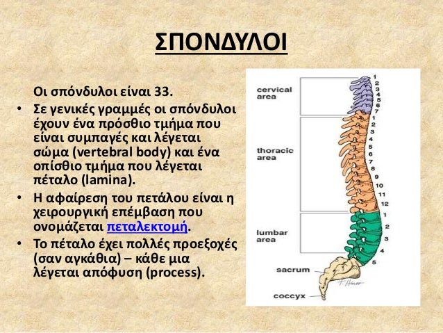 Ανατομικά προβλήματα της Σπονδυλικής Στήλης κατά την εφηβεία
