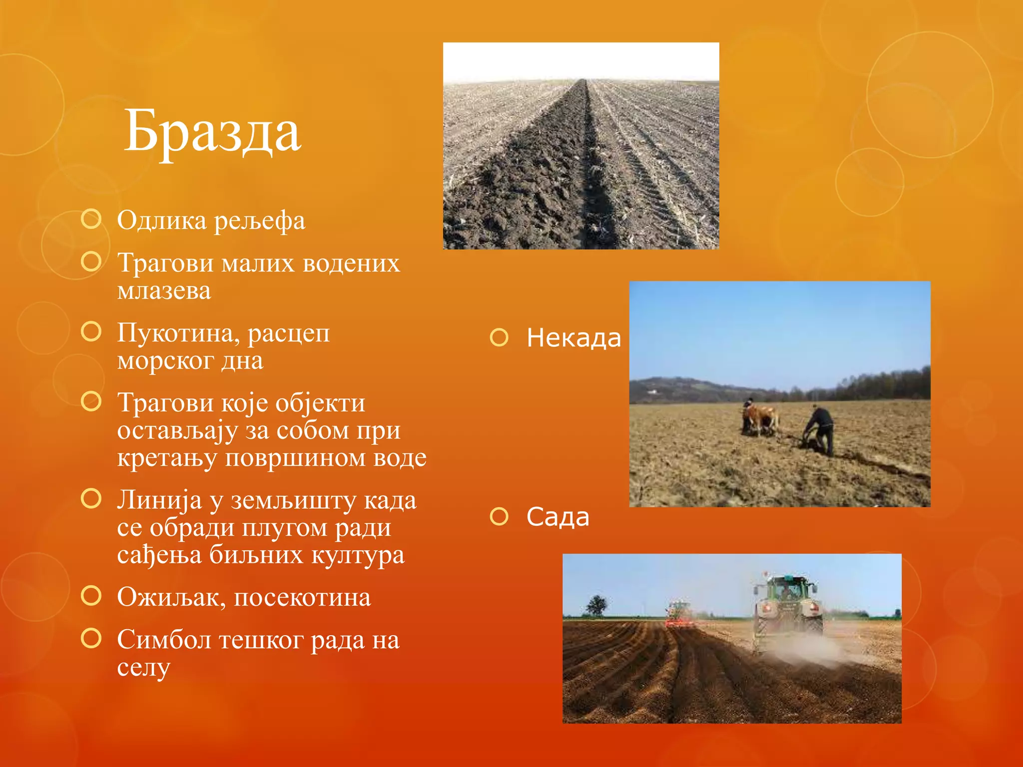 Prva brazda, prezentacija | PPTX