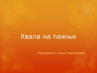 Prva brazda, prezentacija | PPTX