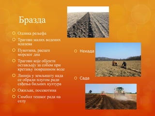 Prva brazda, prezentacija | PPTX