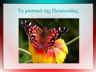 Tο μυστικό μιας πεταλούδας | PDF