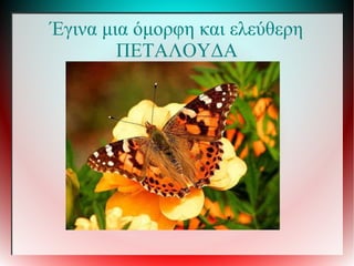 Tο μυστικό μιας πεταλούδας | PPT