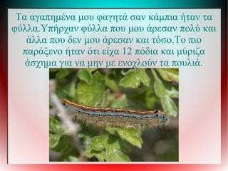 Tο μυστικό μιας πεταλούδας | PDF