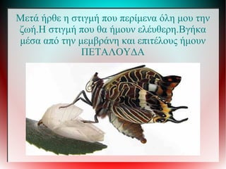 Tο μυστικό μιας πεταλούδας | PDF