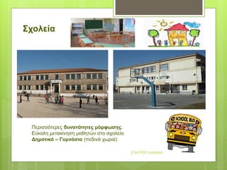 Συνθήκες διαβίωσης σε πεδινές περιοχές | PPTX