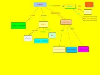 ταξη δ εννοιολογικος χαρτης διαδικτυο | PPT