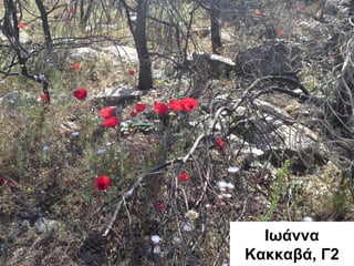φωτογραφιες ε' μερος | PPT