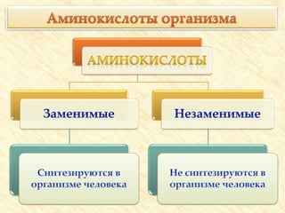 аминокислоты | PPT